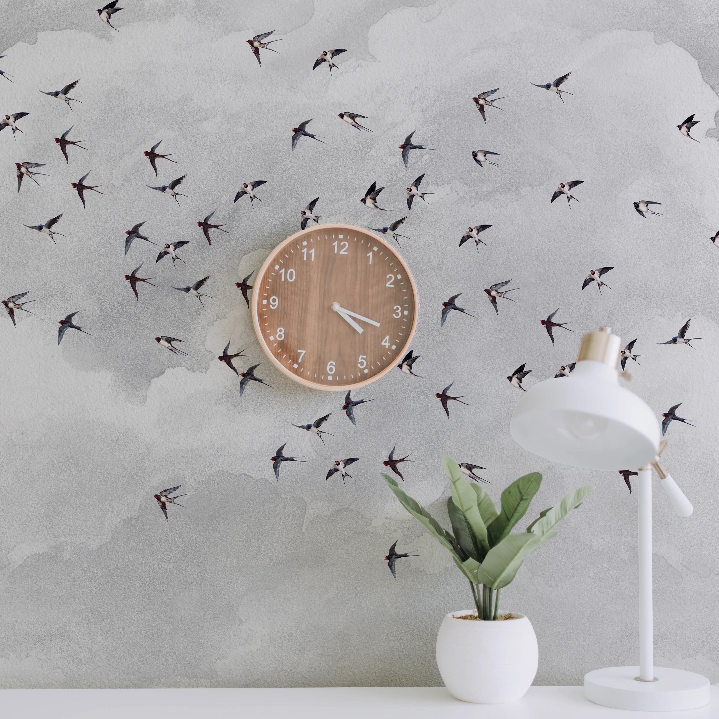 A Swoop Of Swallows – Stories for Walls